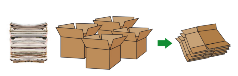 Carta e cartone - ASM Pavia